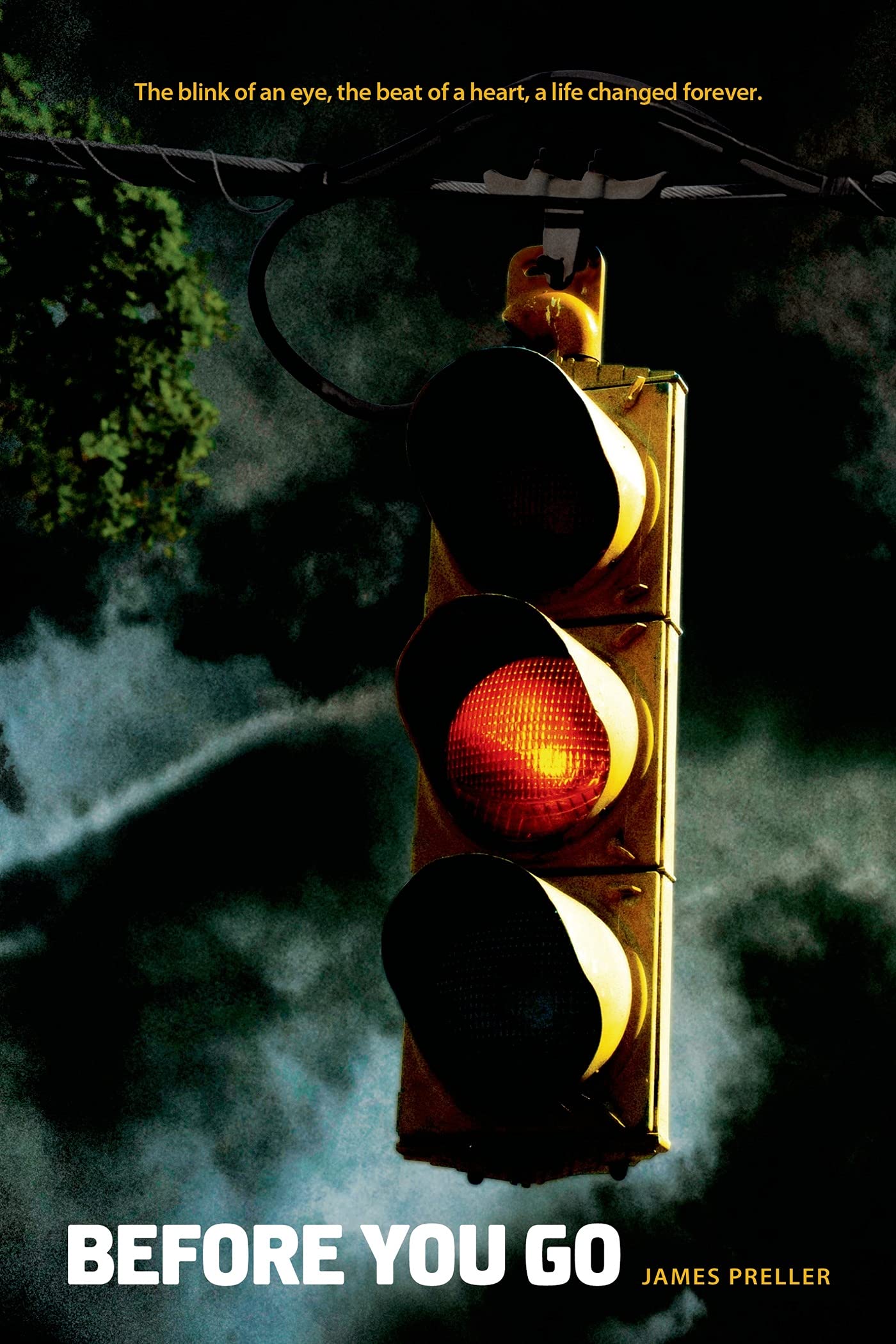 Amazon.com: Before You Go: 9781250034212: Preller, James: Books