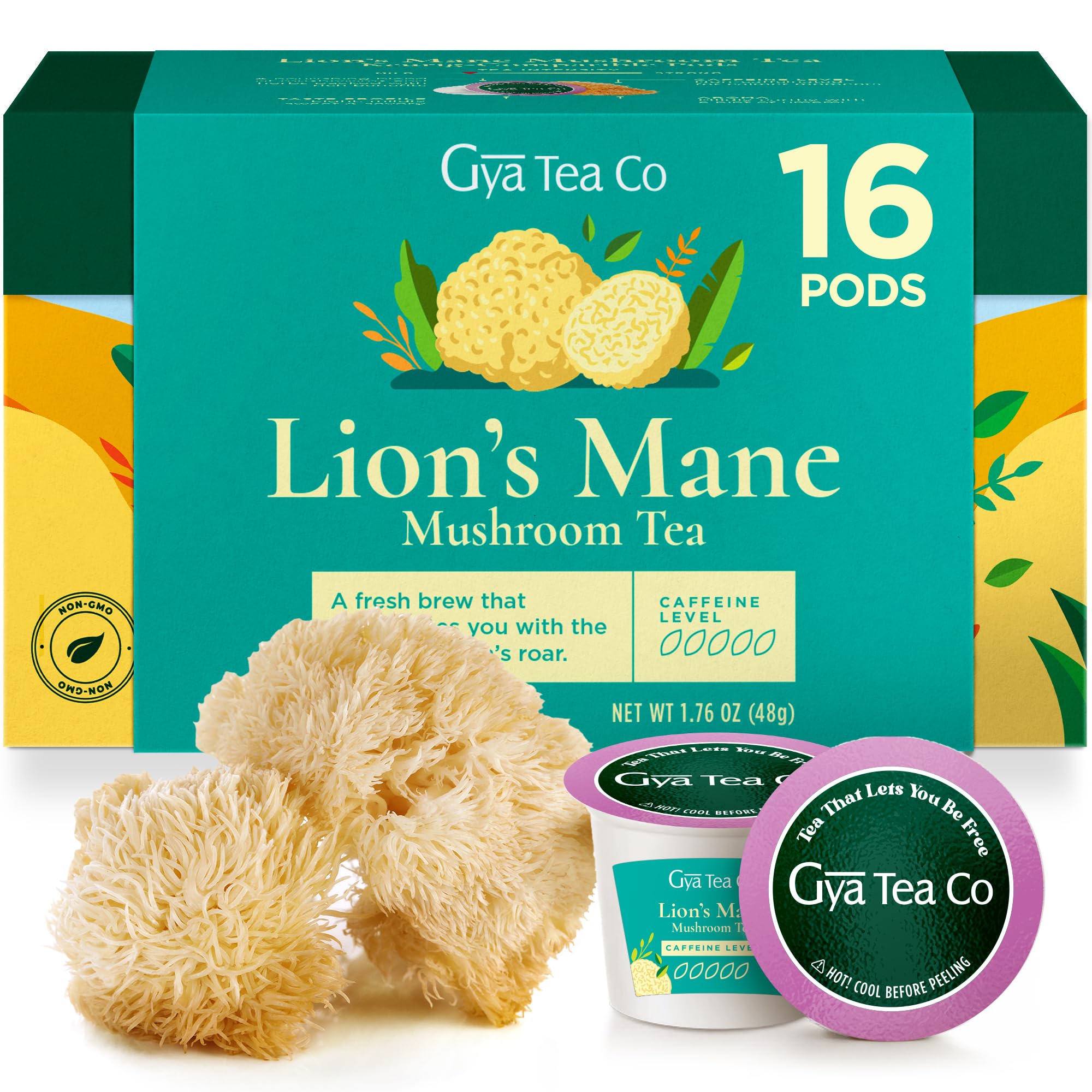 Amazon.com: Gya Tea Co Lion's Mane Mushroom Tea Pods Tea Gifts (16 ct ...