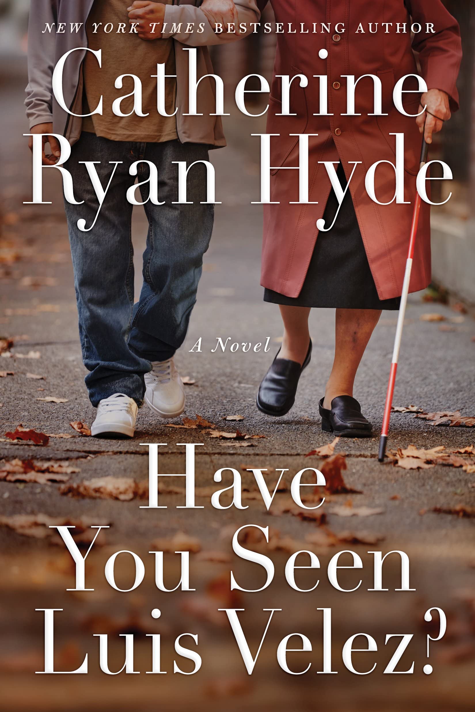 Have You Seen Luis Velez?: Hyde, Catherine Ryan: 9781542042369: Amazon ...