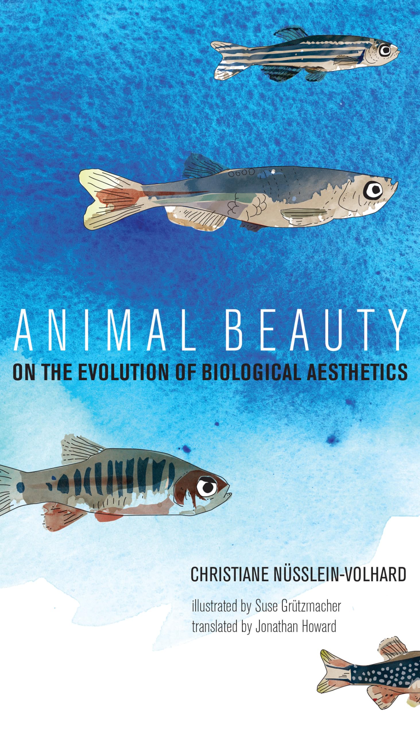Animal Beauty: On the Evolution of Biological Aesthetics (Mit Press ...