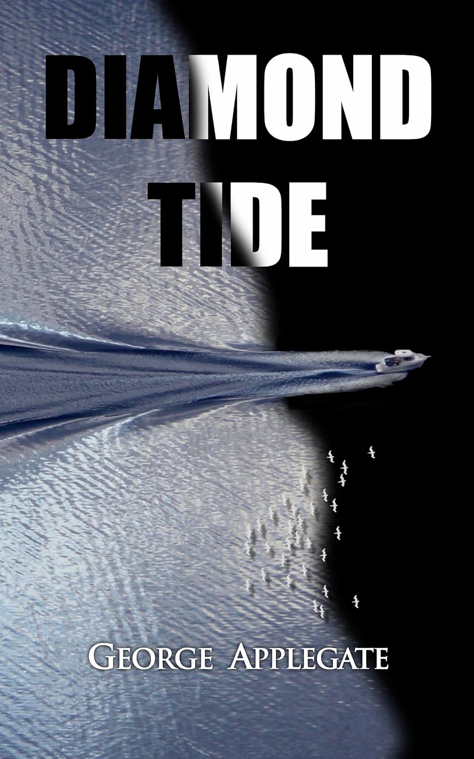 Amazon.com: Diamond Tide eBook : Applegate, George: Kindle Store