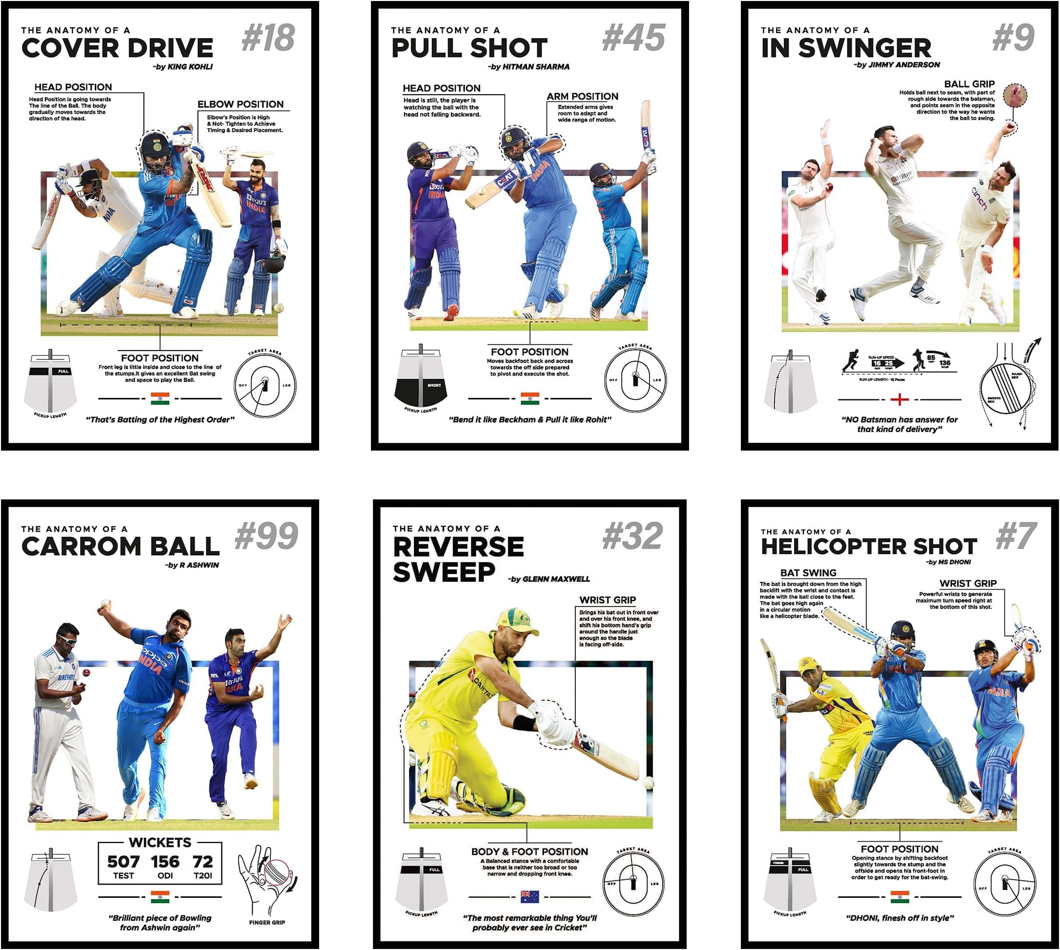 CodersParadise Cricket Anatomy Wall Posters - Pack Of 6 | 8x12 inch (A4 ...