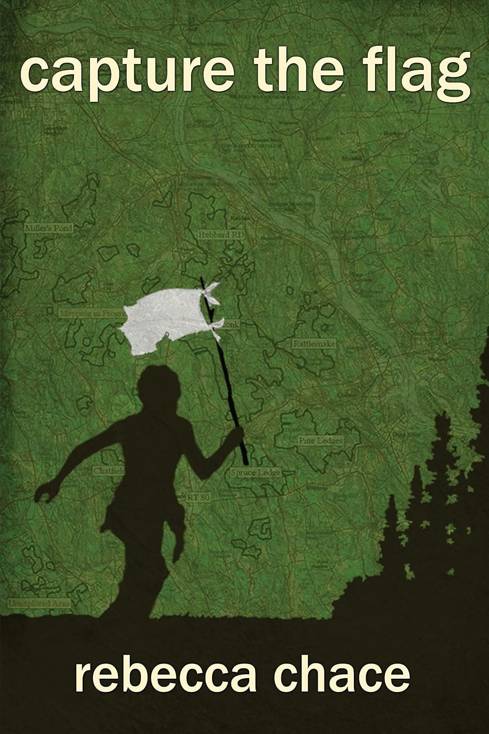 Capture the Flag: A Novel: Chace, Rebecca: 9781451613636: Amazon.com: Books