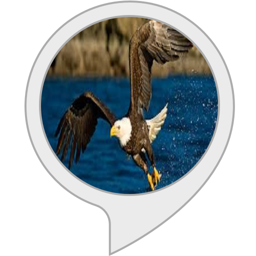 Amazon.in: Eagle Facts : Alexa Skills