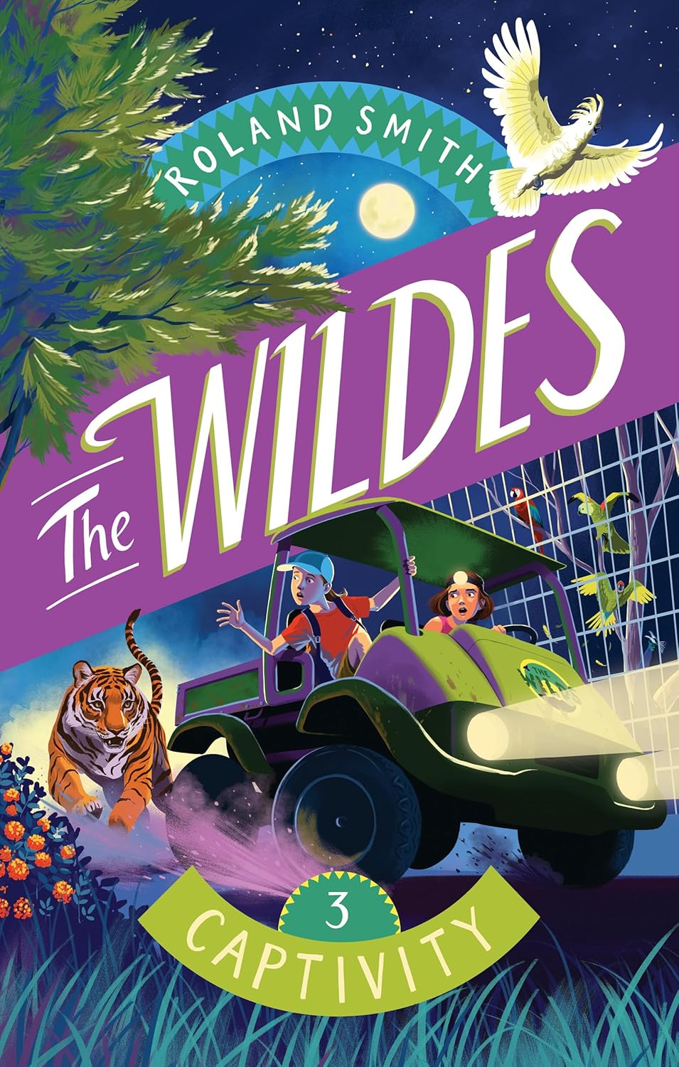 Amazon.com: The Wildes: Captivity: 9781534113299: Smith, Roland: Books