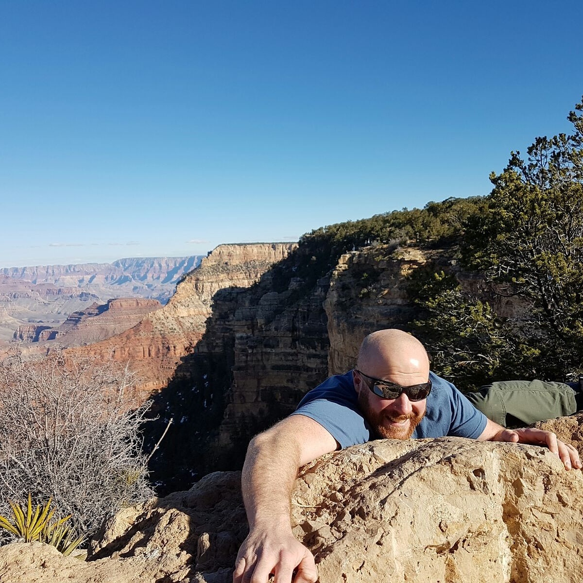 Amazon.com: Lee Sherred: books, biography, latest update