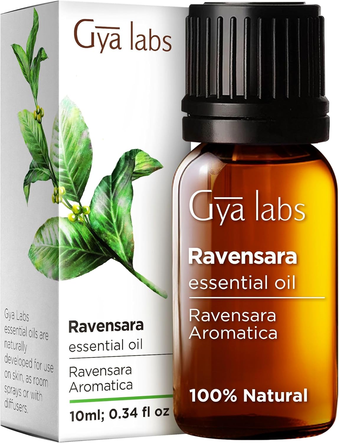 Amazon.com: Gya Labs Ravensara Essential Oil Diffuser - Ravensara ...