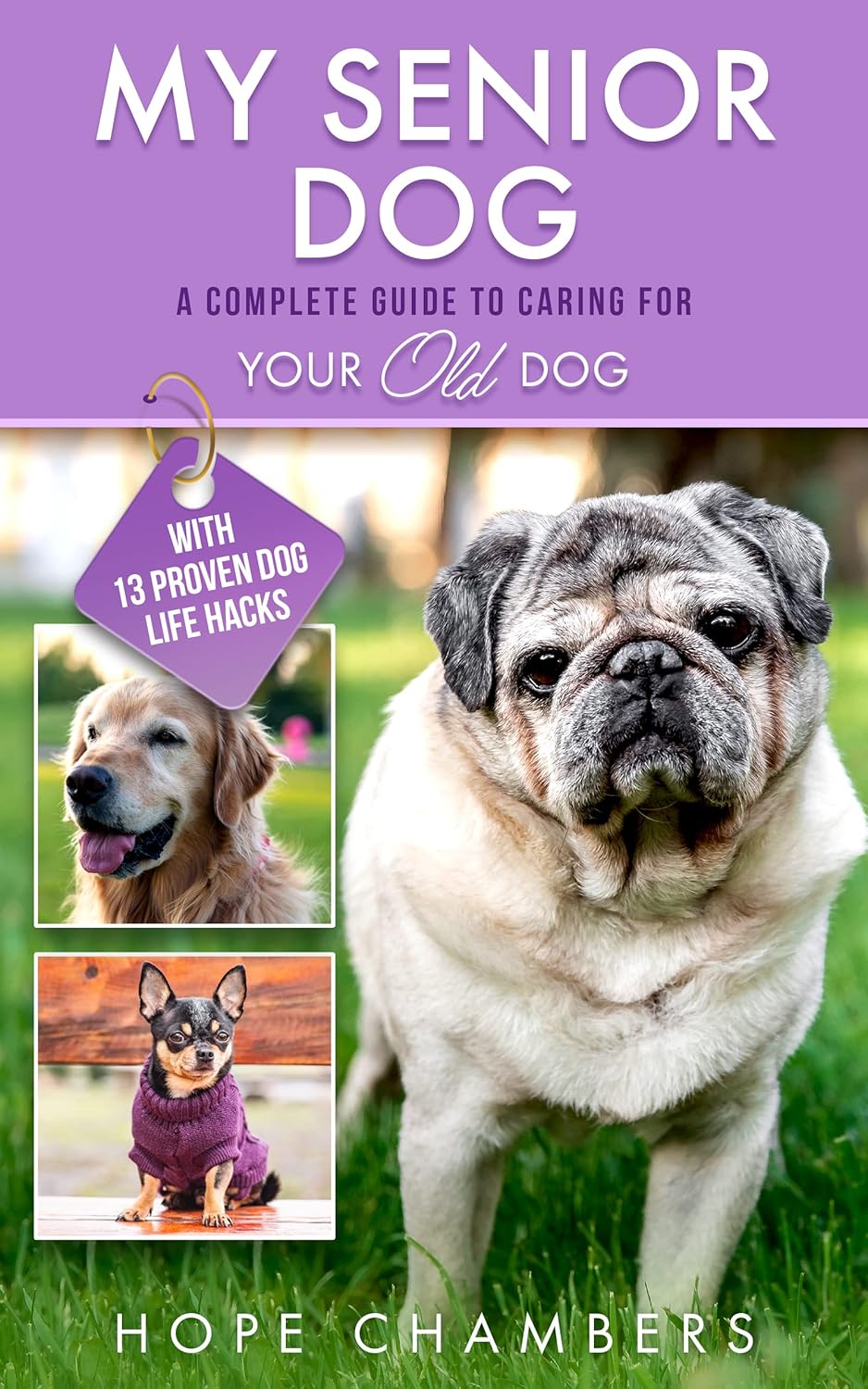 My Senior Dog: A Complete Guide to Caring for Your Old Dog (From Smart ...