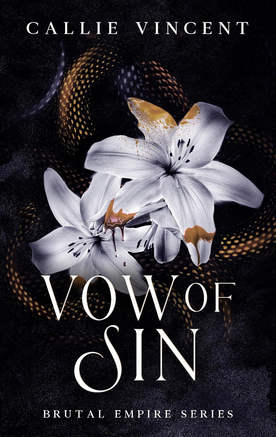 Vow of Sin: a Dark Mafia Enemies to Lovers Romance (Brutal Empire Book ...