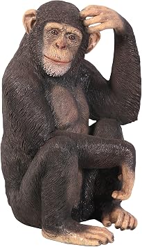 Amazon.com : Design Toscano NE110026 Chauncey The Confused Chimp Garden ...