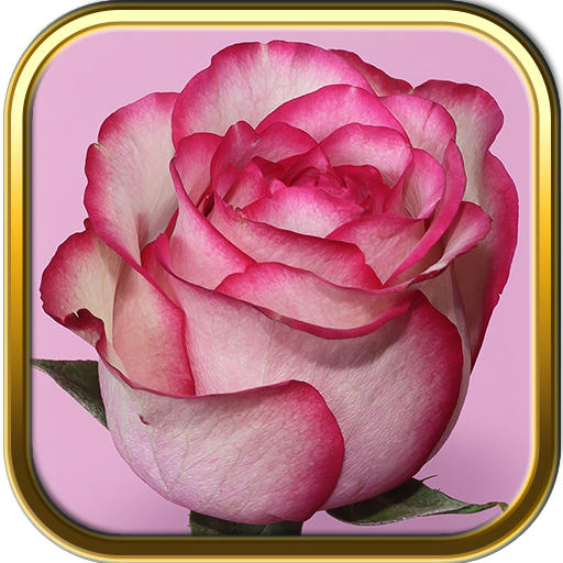 Even More Rose Jigsaw Puzzle Games - App on Amazon Appstore