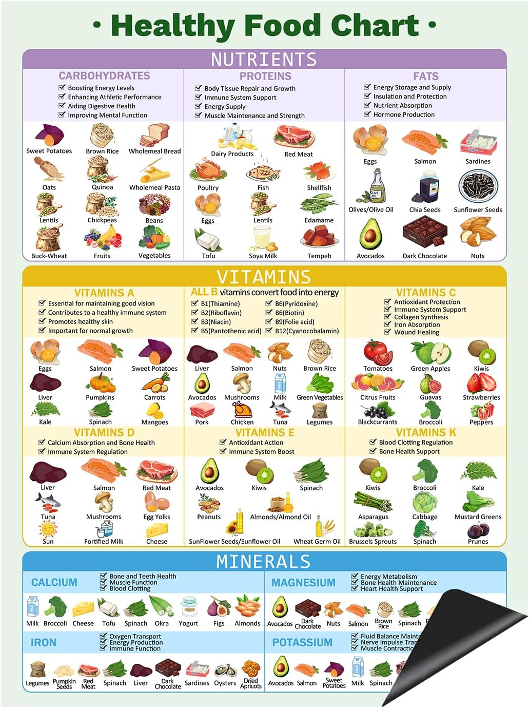 Amazon.com: Healthy Food Chart Magnet, Informative Nutrition Vitamins ...