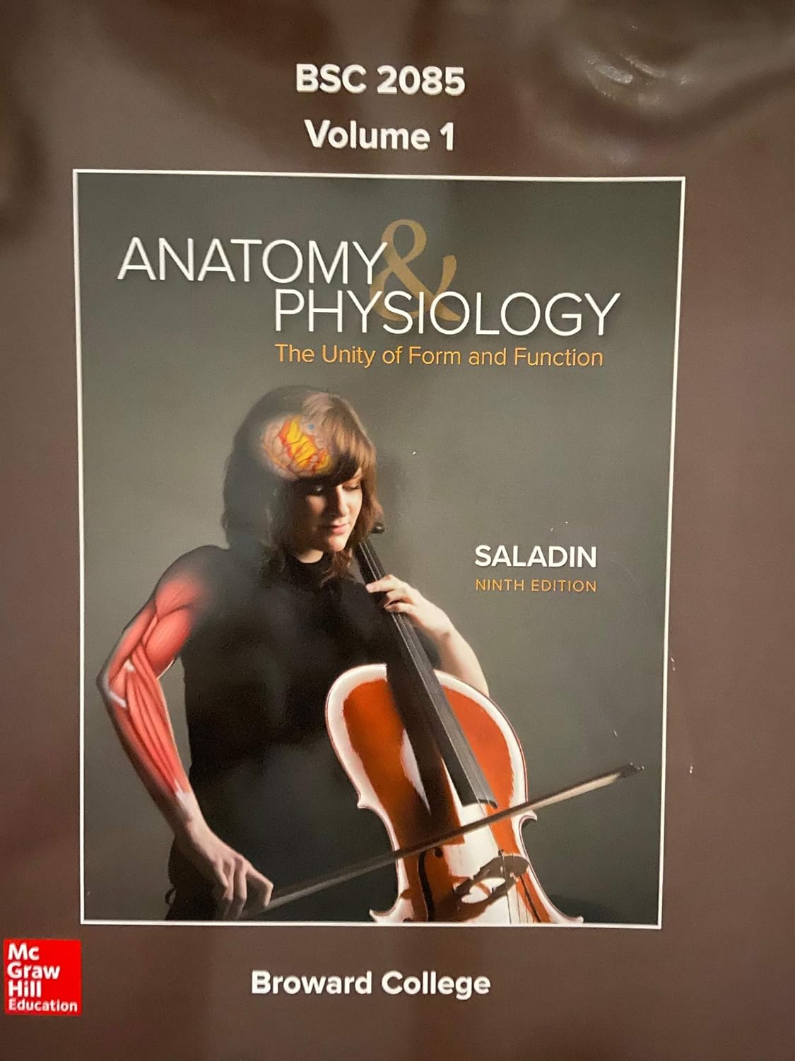 Anatomy and Physiology, Volume 1 (BSC2085 Custom) - 9th edition: Amazon ...