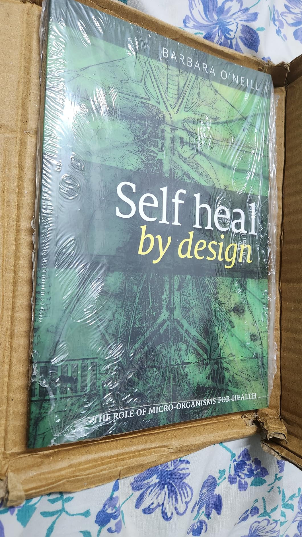 Self Heal by Design: The Science and Practice of Self-Healing : Barbara ...