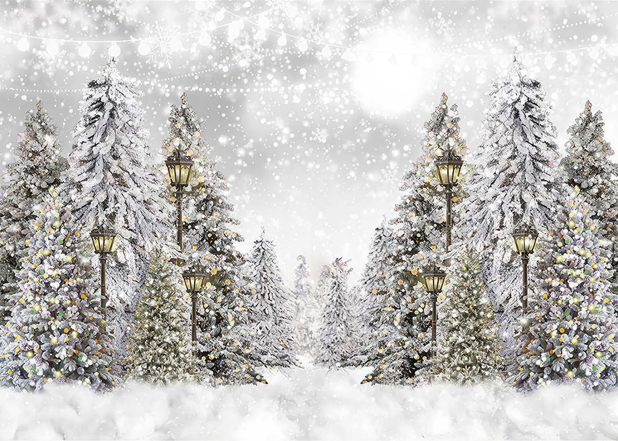 Alltten 7x5ft Winter Wonderland Backdrop Winter Forest Landscape ...