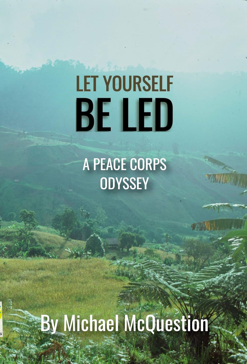 Amazon.com: Let Yourself be Led: A Peace Corps Odyssey eBook ...