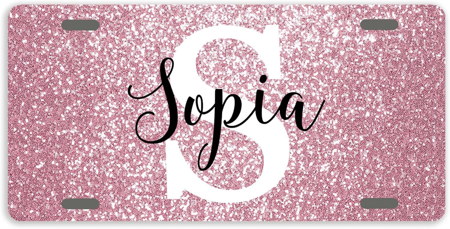 Amazon.com: Pink Glitter Plates License Plate Cover 6X12 Inch ...
