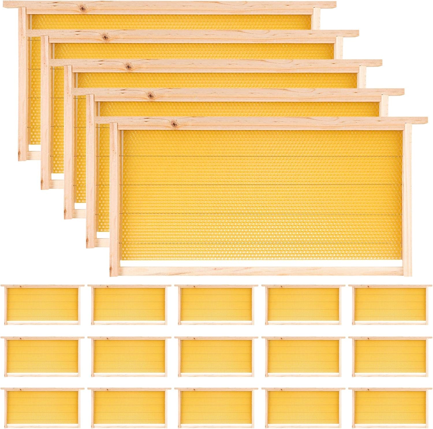 Amazon.com : 20 Pack Bee Hive Frames and Wax Foundations Deep Beehive ...