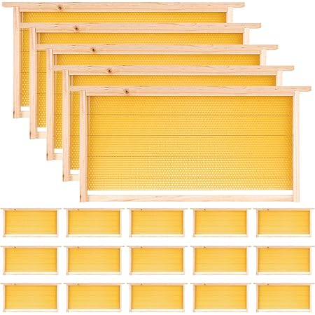 Amazon.com : 20 Pack Bee Hive Frames and Wax Foundations Deep Beehive ...