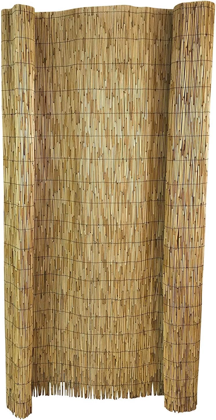 Amazon.com : MGP Natural Reed Fence, 5'H x 14'L : Patio, Lawn & Garden