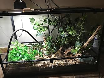 Amazon.com : Carolina Custom Cages, 36Lx18Dx24H Tall Large Terrarium ...