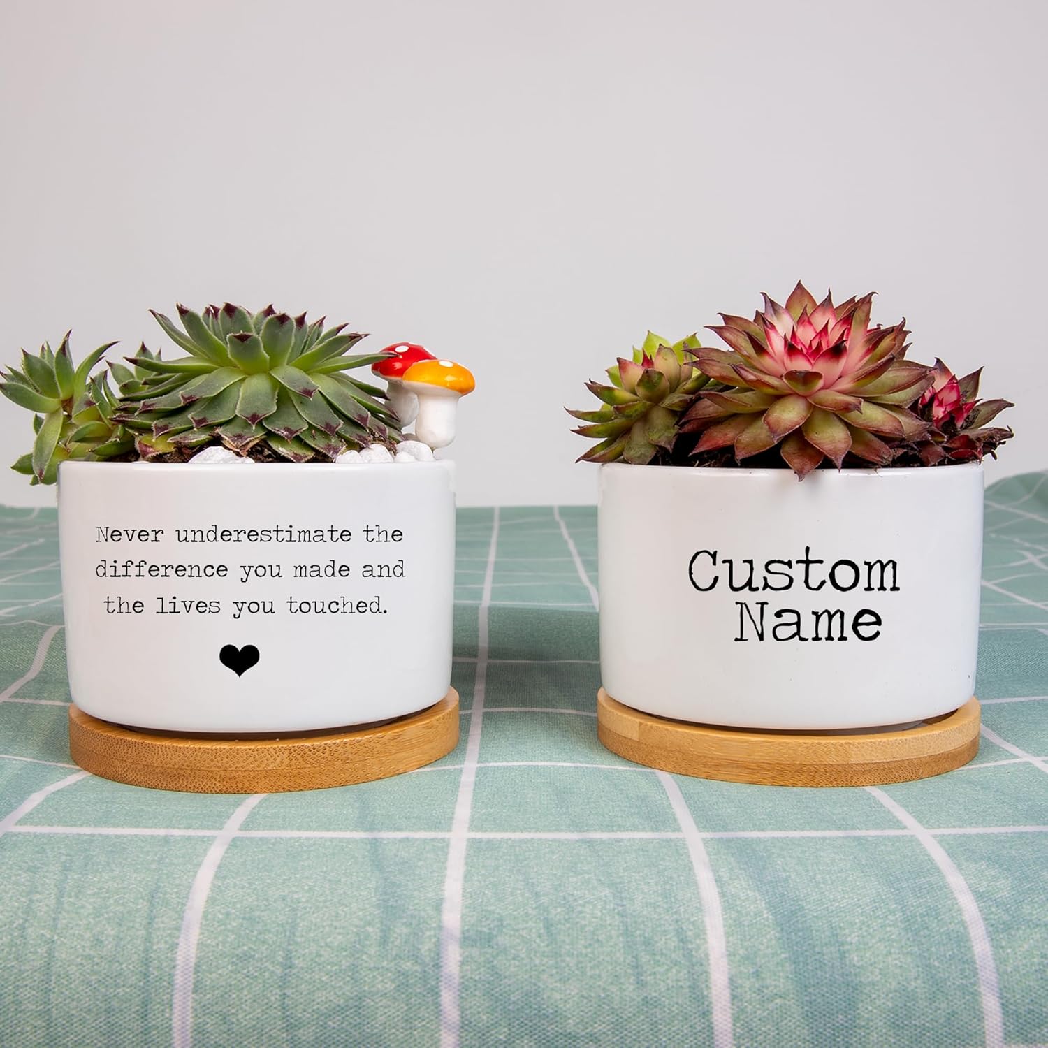 Amazon.com: MY4LOVE - Never Underestimate The Difference You Made Plant ...