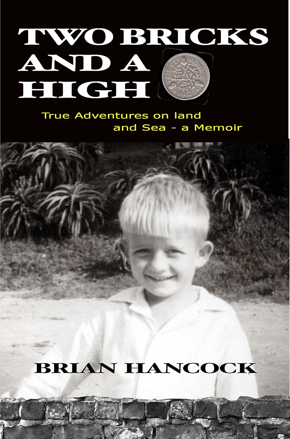 Amazon.com: Two Bricks and a Tickey High: True Adventures on Land and ...