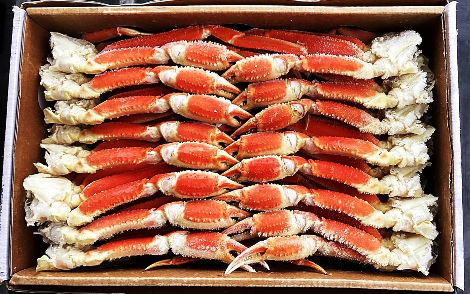 Amazon | 業務用 ロシア産 ズワイ蟹 2L 5kg | 仙台漬魚 | カニ 通販