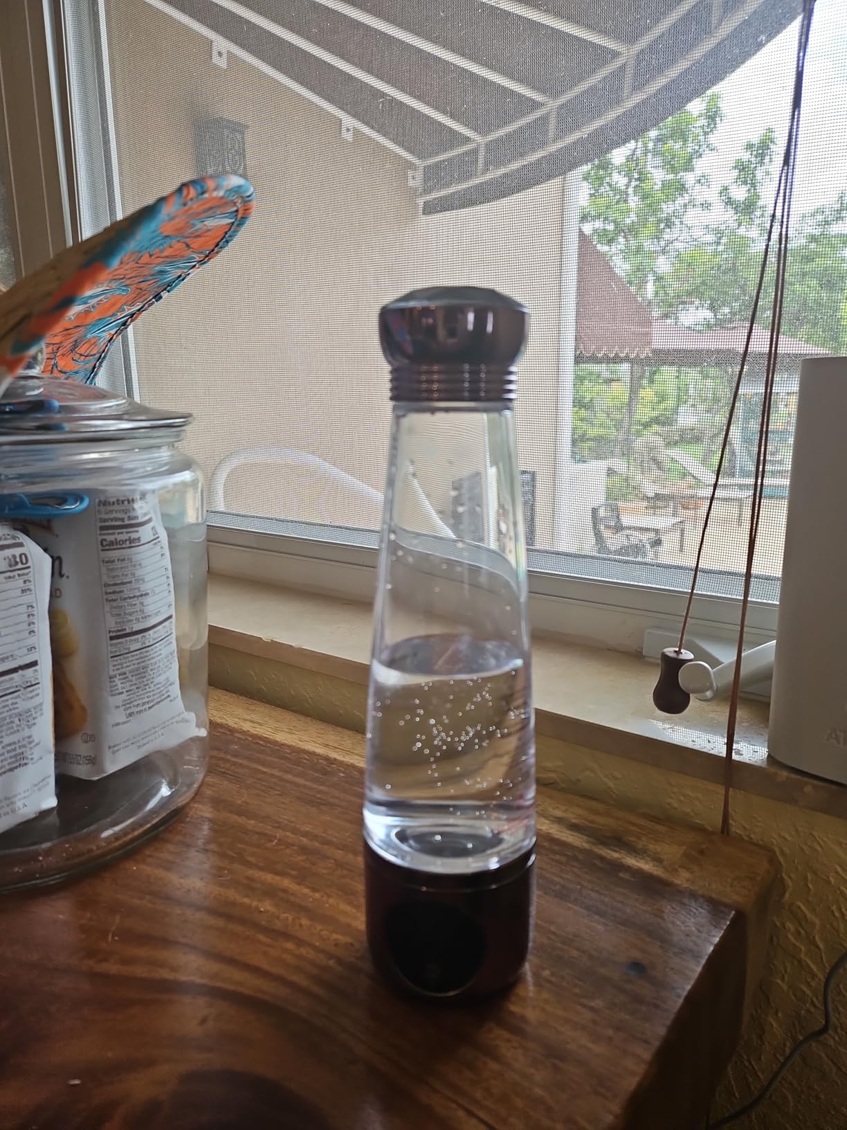 Amazon.com: Oakforest Portable Hydrogen Water Bottle with SPE PEM ...