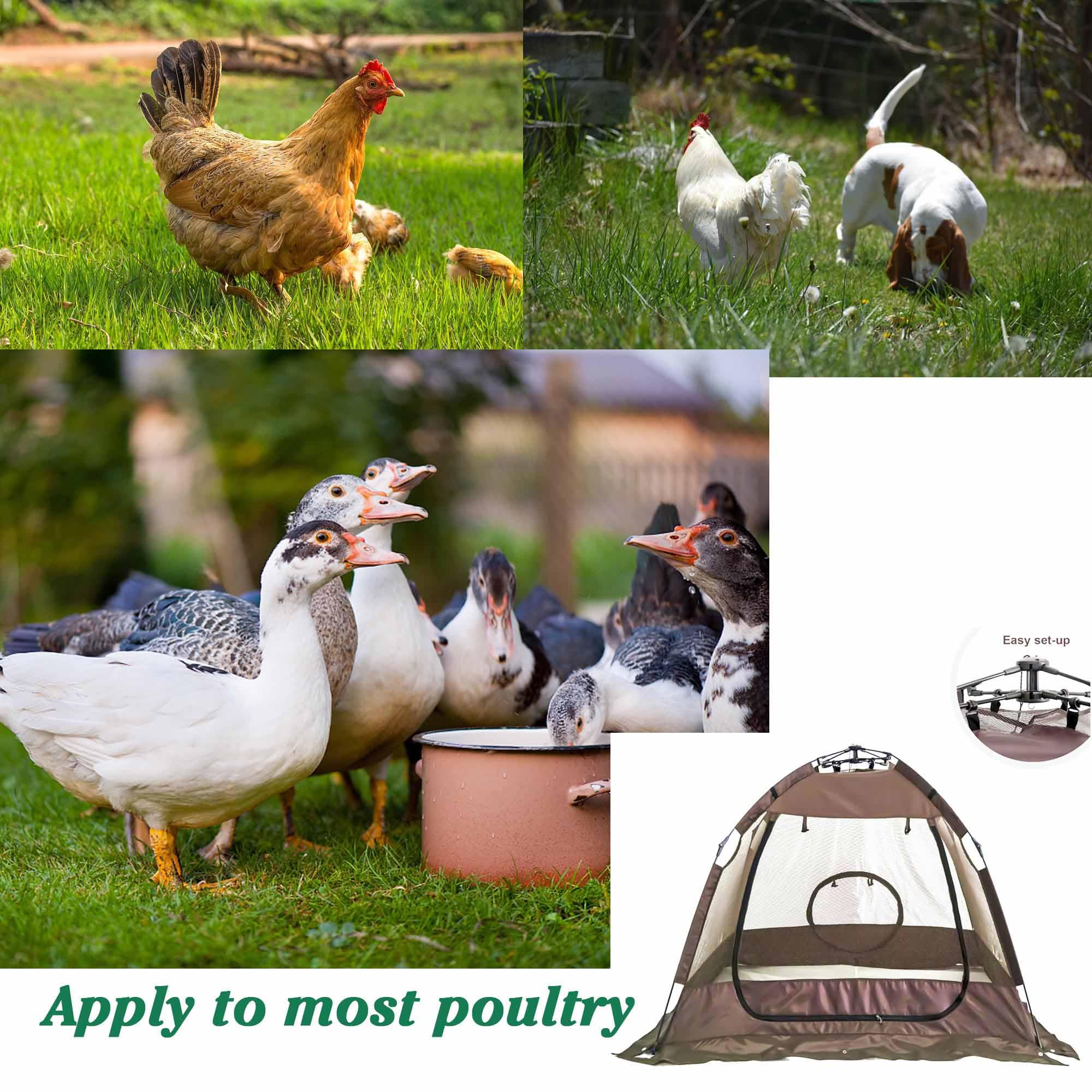 Snapklik.com : Portable Chicken Coop,Protected Chicken Run,Pet ...