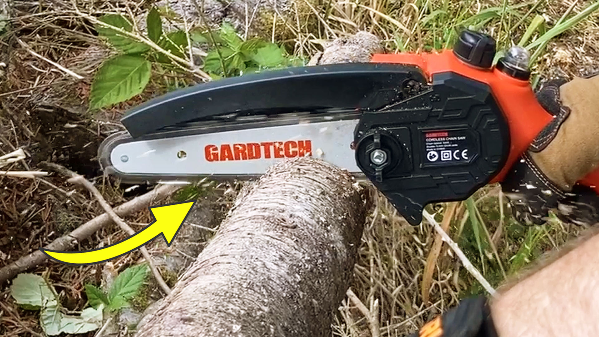 Watch This Mini Chainsaw Is Fun To Use on Amazon Live