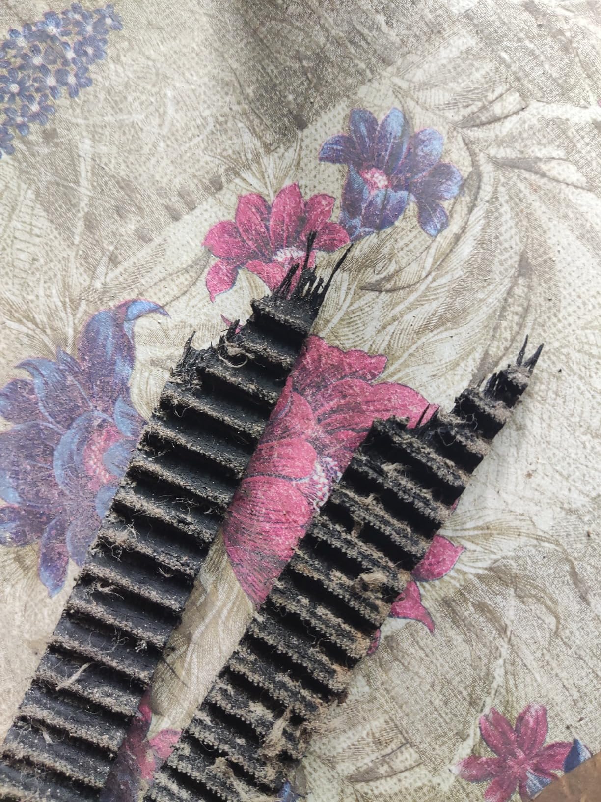 Belt for revolt bike rv400 8M 1760 23 : Amazon.in: Clothing & Accessories