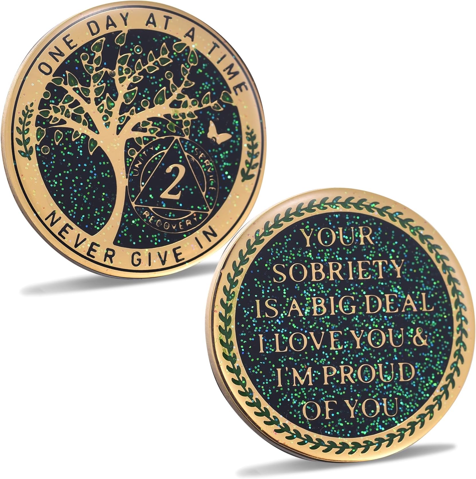 Amazon.com: LParkin 2 Year Sobriety Coin, Tree of Life Recovery Coin ...