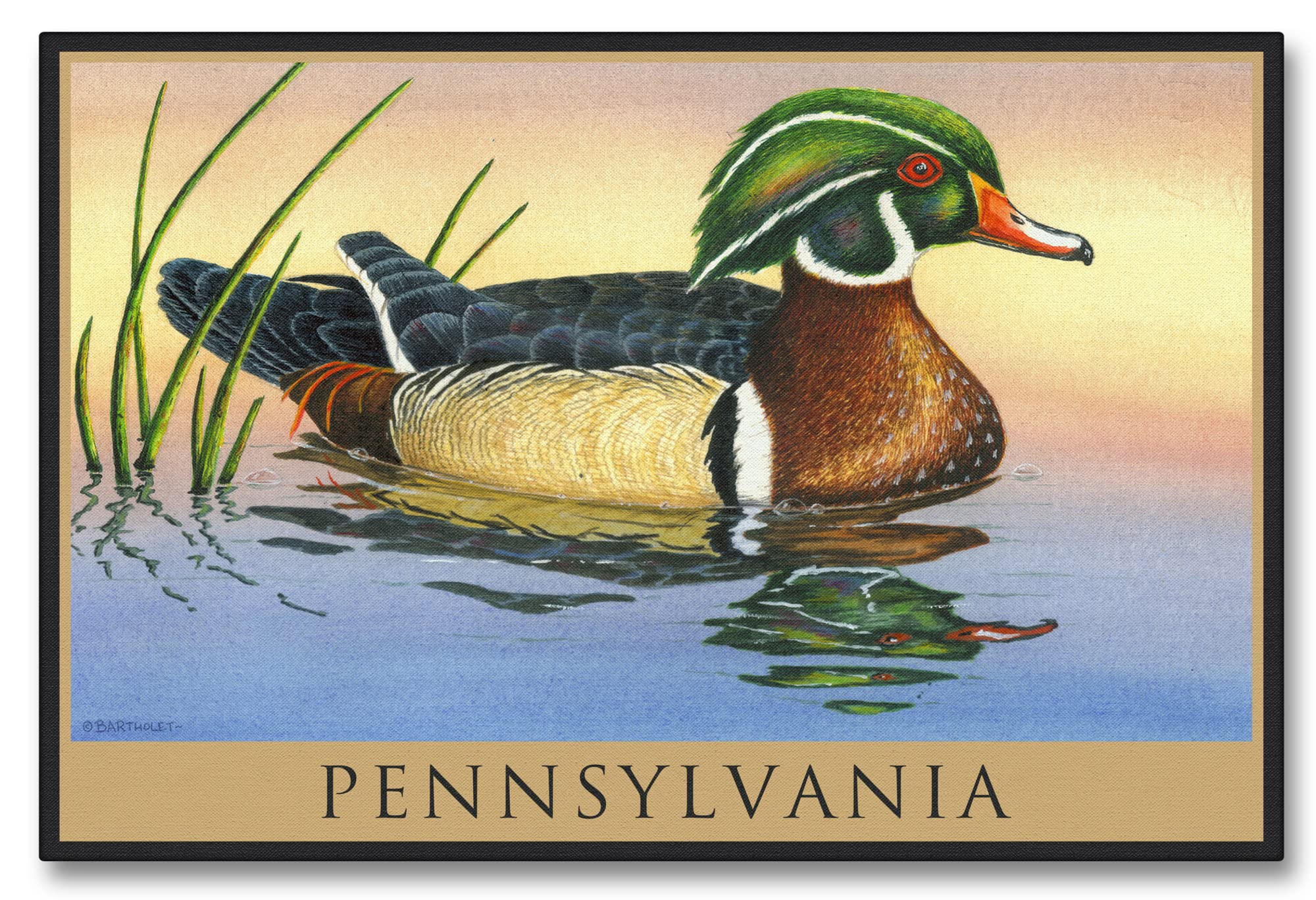 Waterfowl Prints For Sale