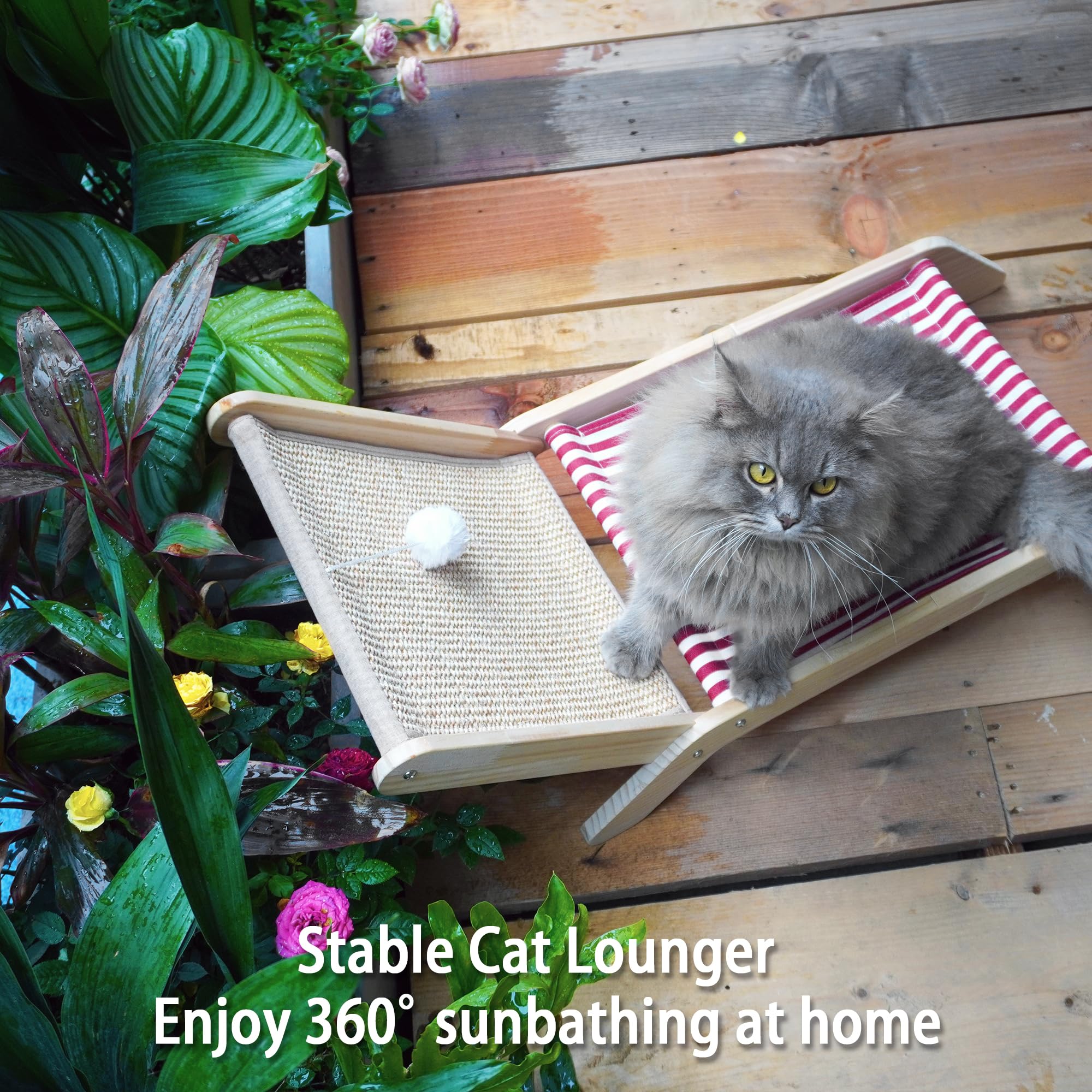 Snapklik.com : PETKARAY Beach Chair Cat Hammock, Elevated Cat Beds For ...