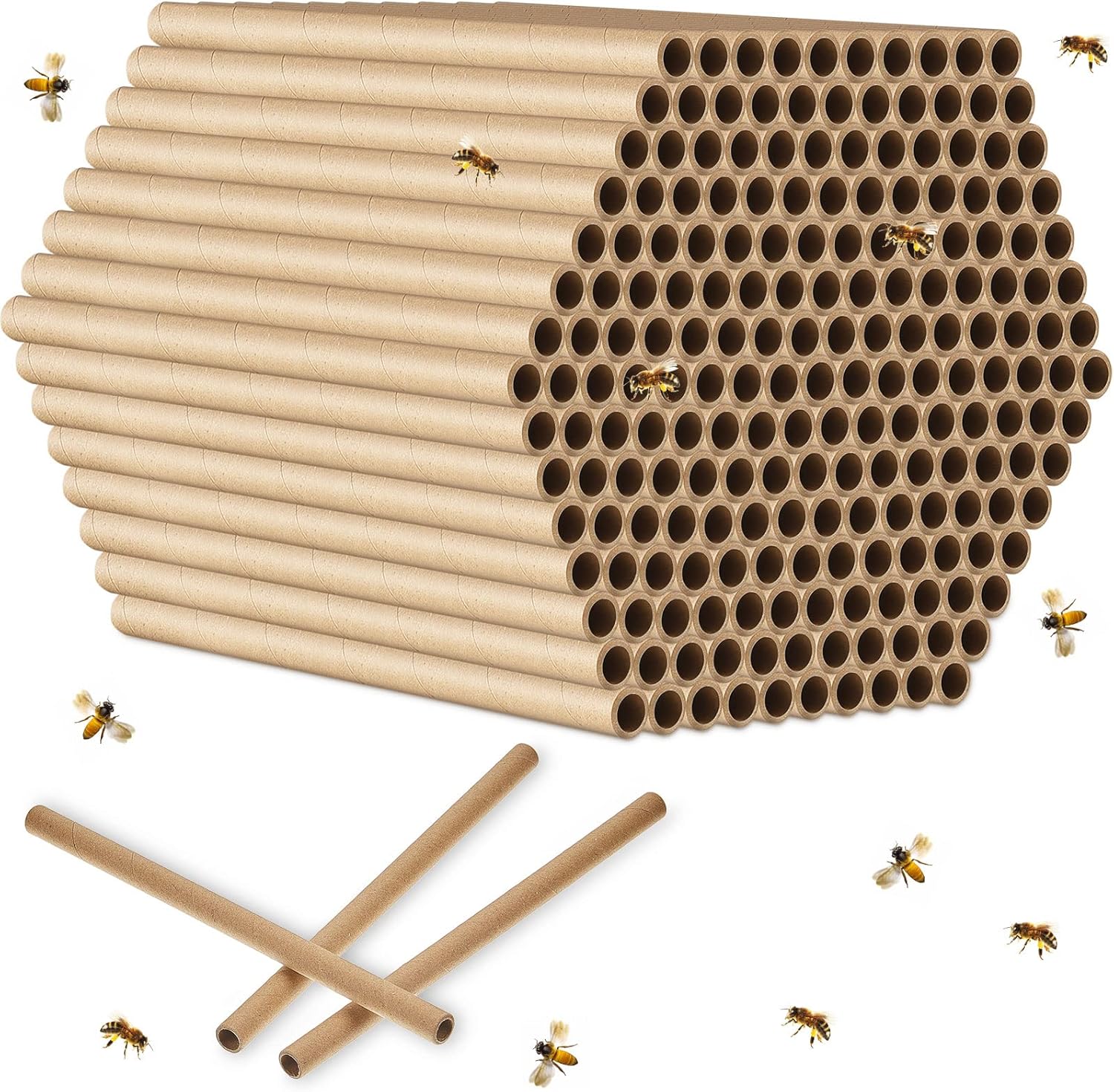 Amazon.com : Gueevin 400 Pcs Mason Beehive Tubes 6 Inch Long Cardboard ...