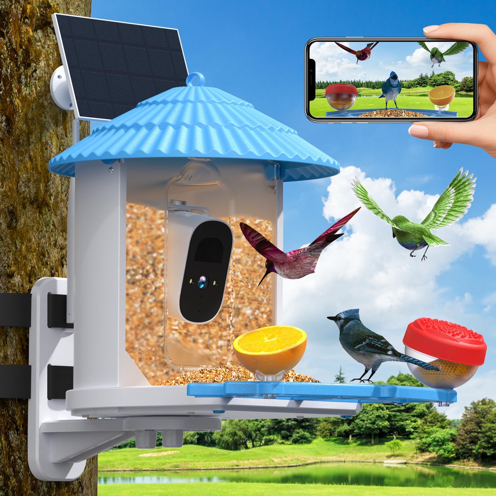 Smart Bird Feeder with Camera Solar Powered, AIMMIE IP66 Waterproof ...