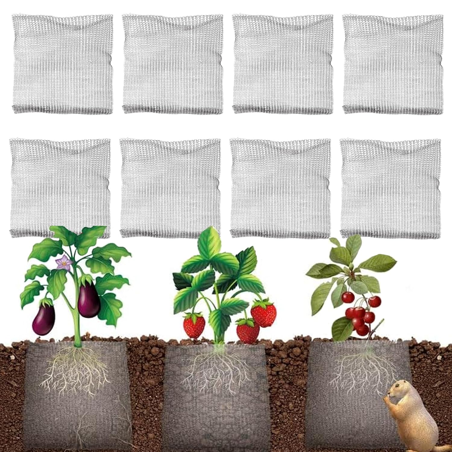 Amazon.com : Oungy 8 Pack Root Guard 3 Gallon Gopher and Vole Wire ...