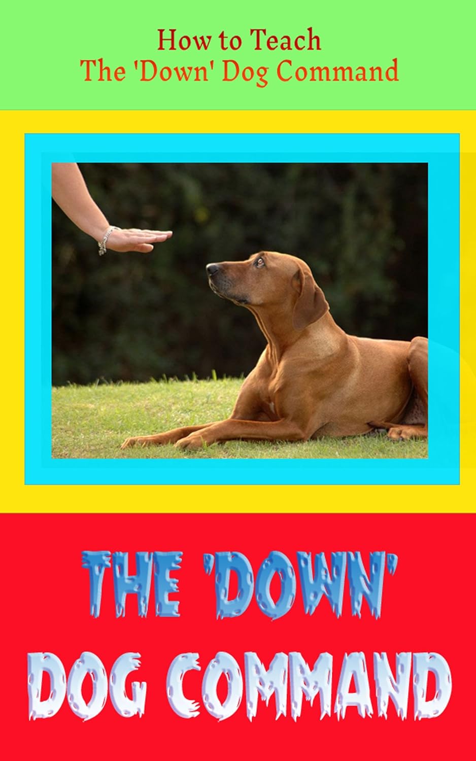Amazon.com: The 'Down' Dog Command: How to Teach the The 'Down' Dog ...