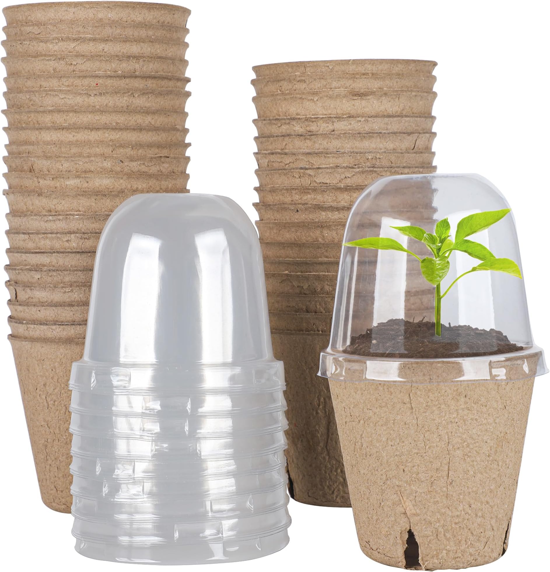 Amazon.com: 50 Sets Seed Starter Peat Pots with Humidity Dome Round ...