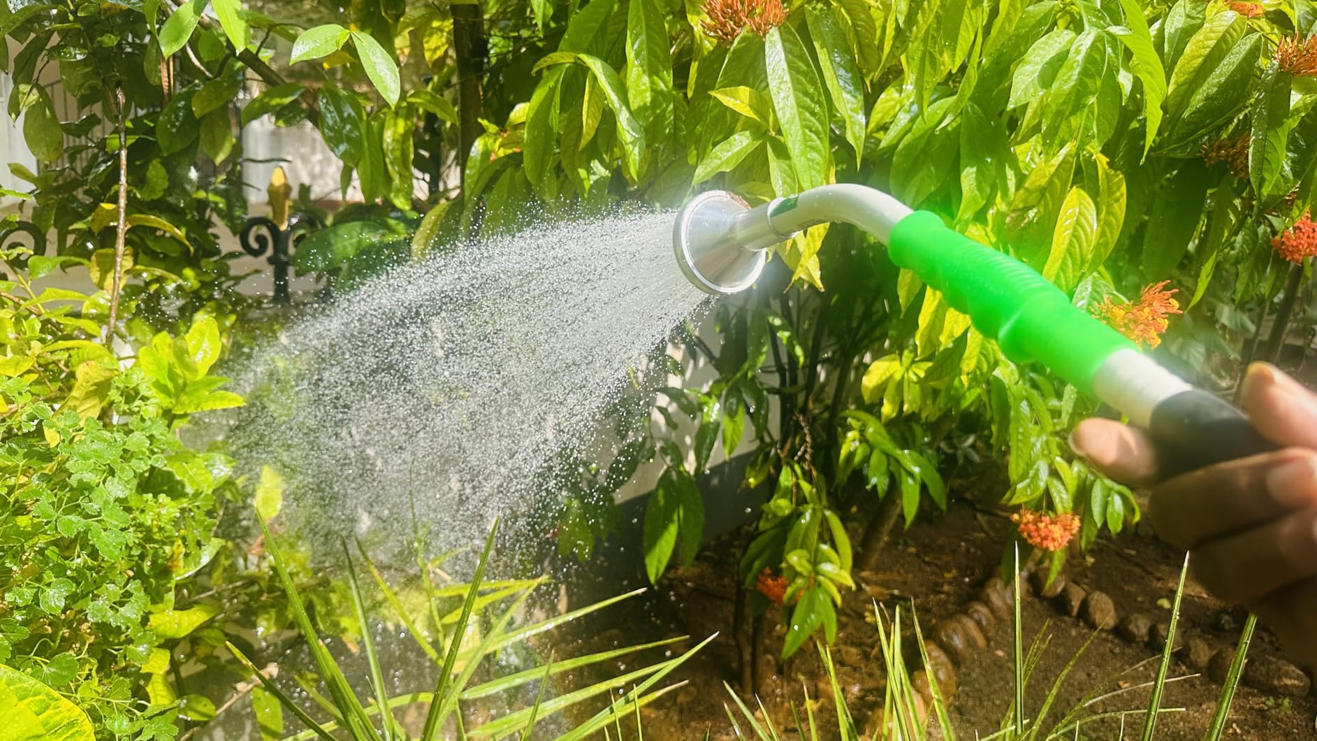 Supekar Regular Garden Shower : Amazon.in: Garden & Outdoors