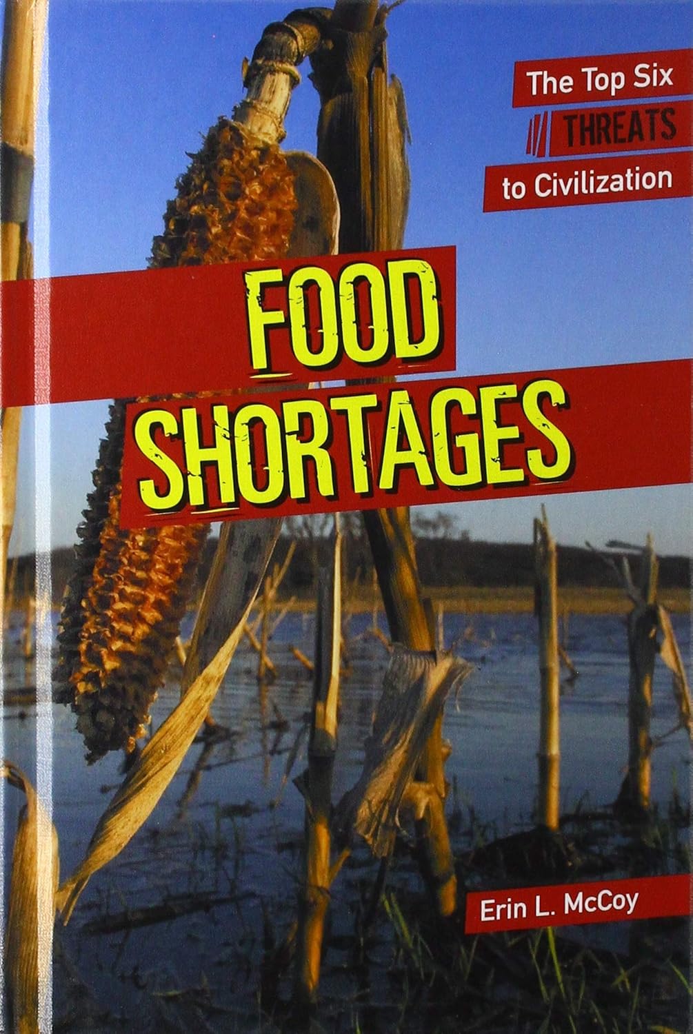 Amazon.com: Food Shortages (The Top Six Threats to Civilization ...