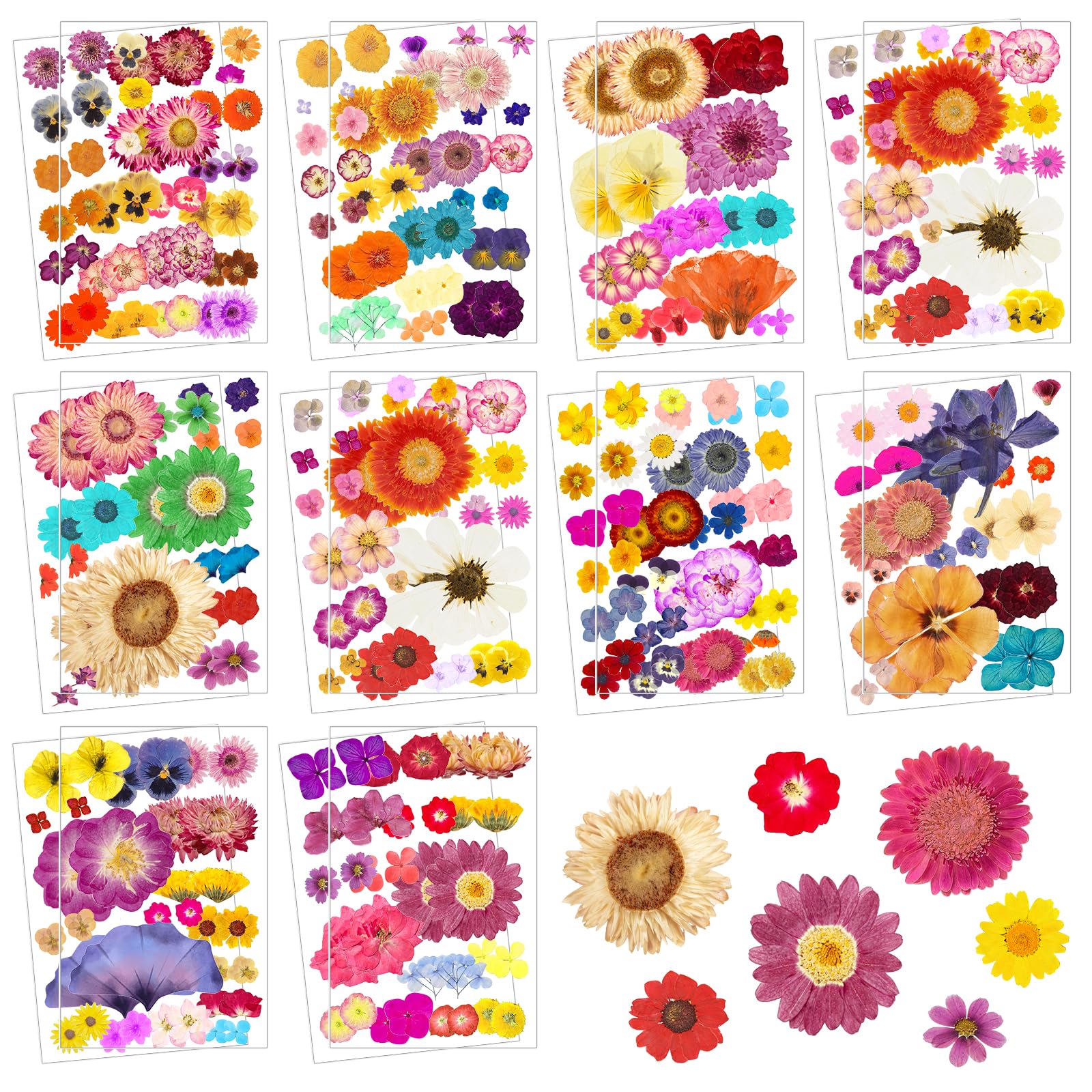 Amazon.com: Pressed Flower Stickers 20 Sheets Dried Floral Decorative ...