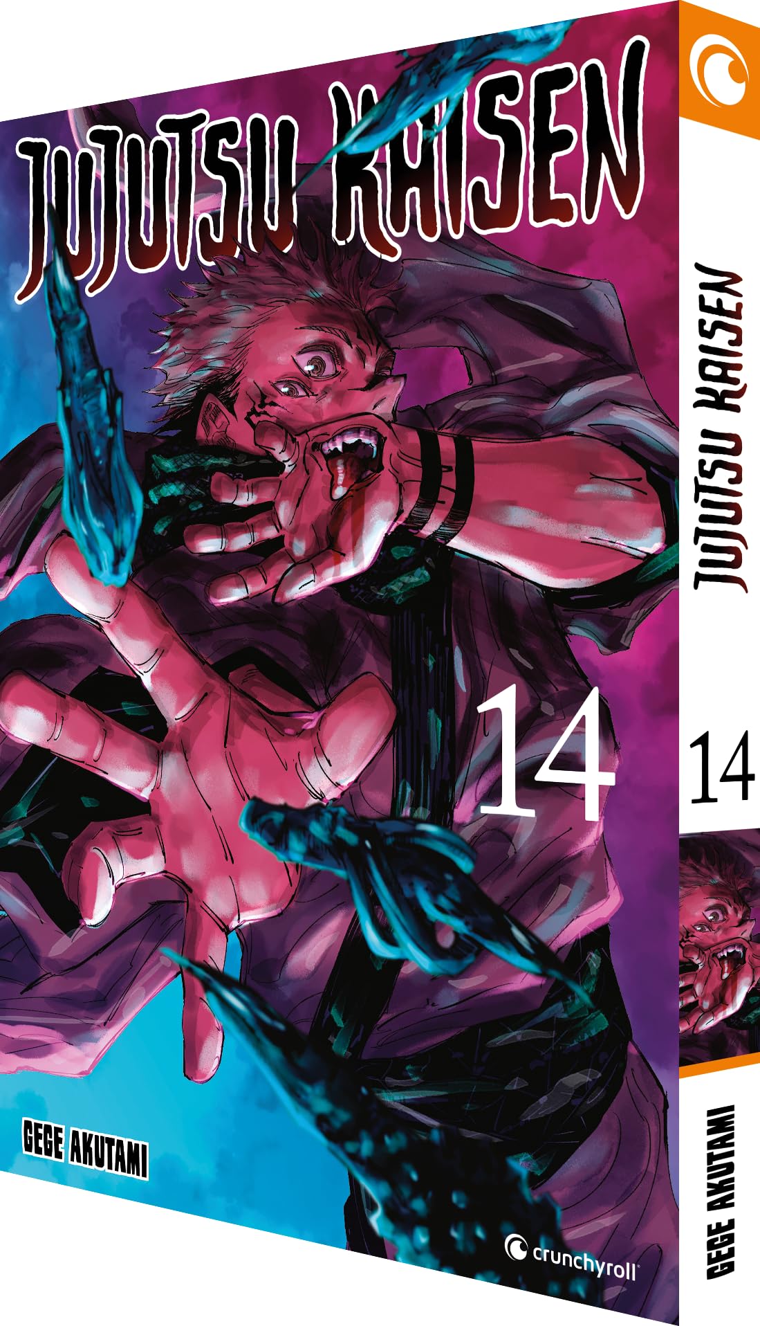 Amazon | Jujutsu Kaisen - Band 14 | Akutami, Gege, Caspary, Costa | Horror