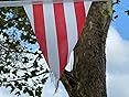 Amazon.com: 100 Feet Red & White Striped Pennant Banner Flags String 60 ...