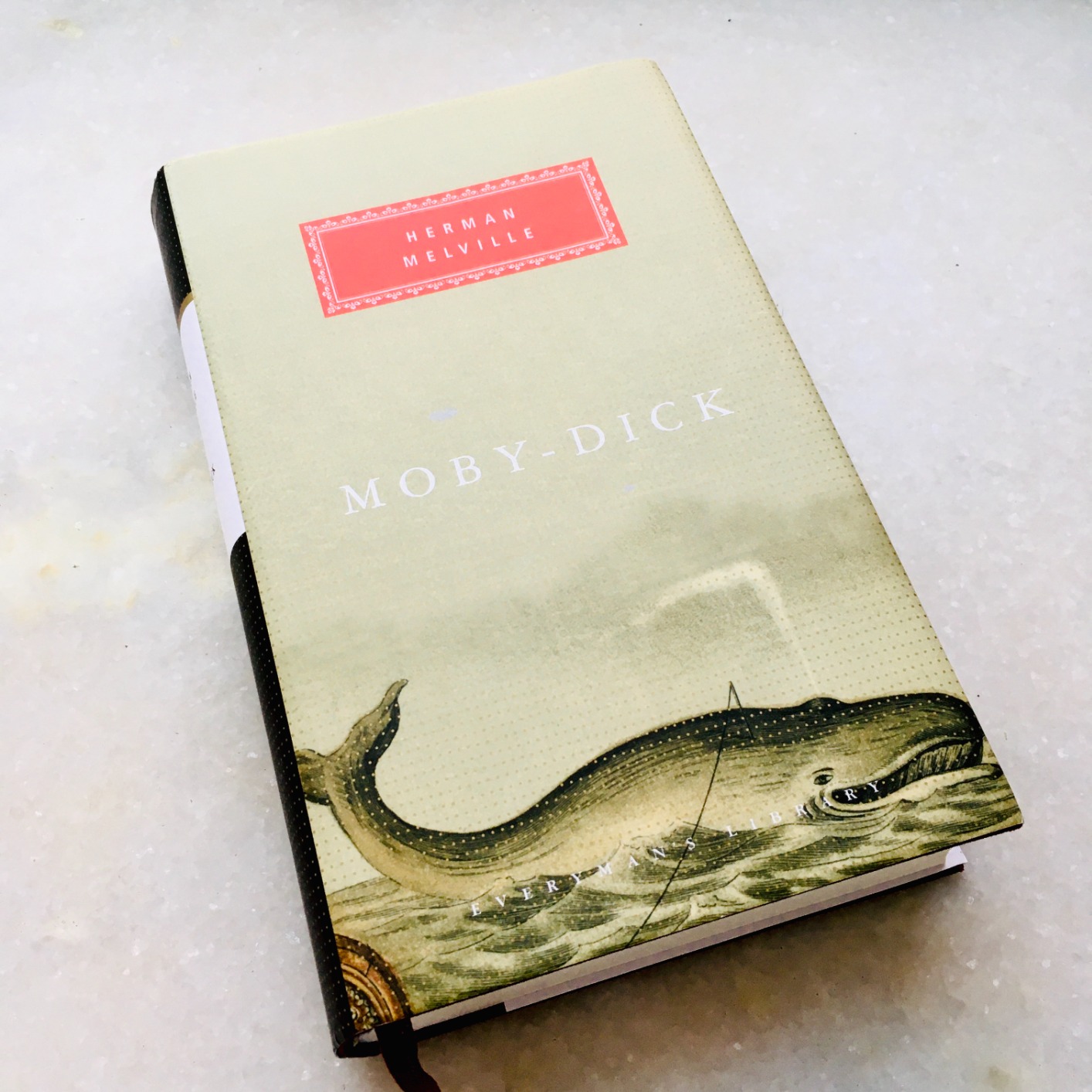 Buy Moby Dick: A Thrilling Classic Literature Epic of the Great White ...