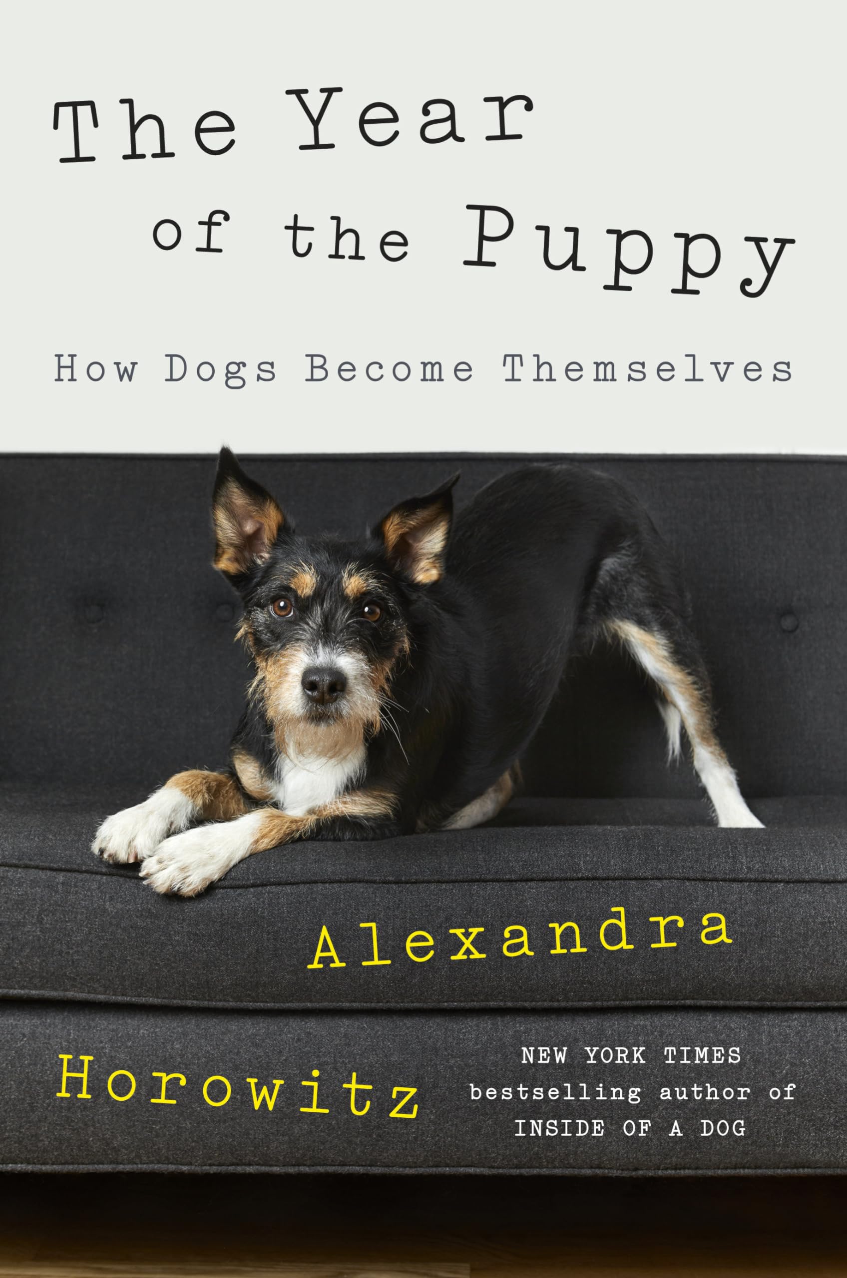 The Year of the Puppy: How Dogs Become Themselves: Horowitz, Alexandra ...