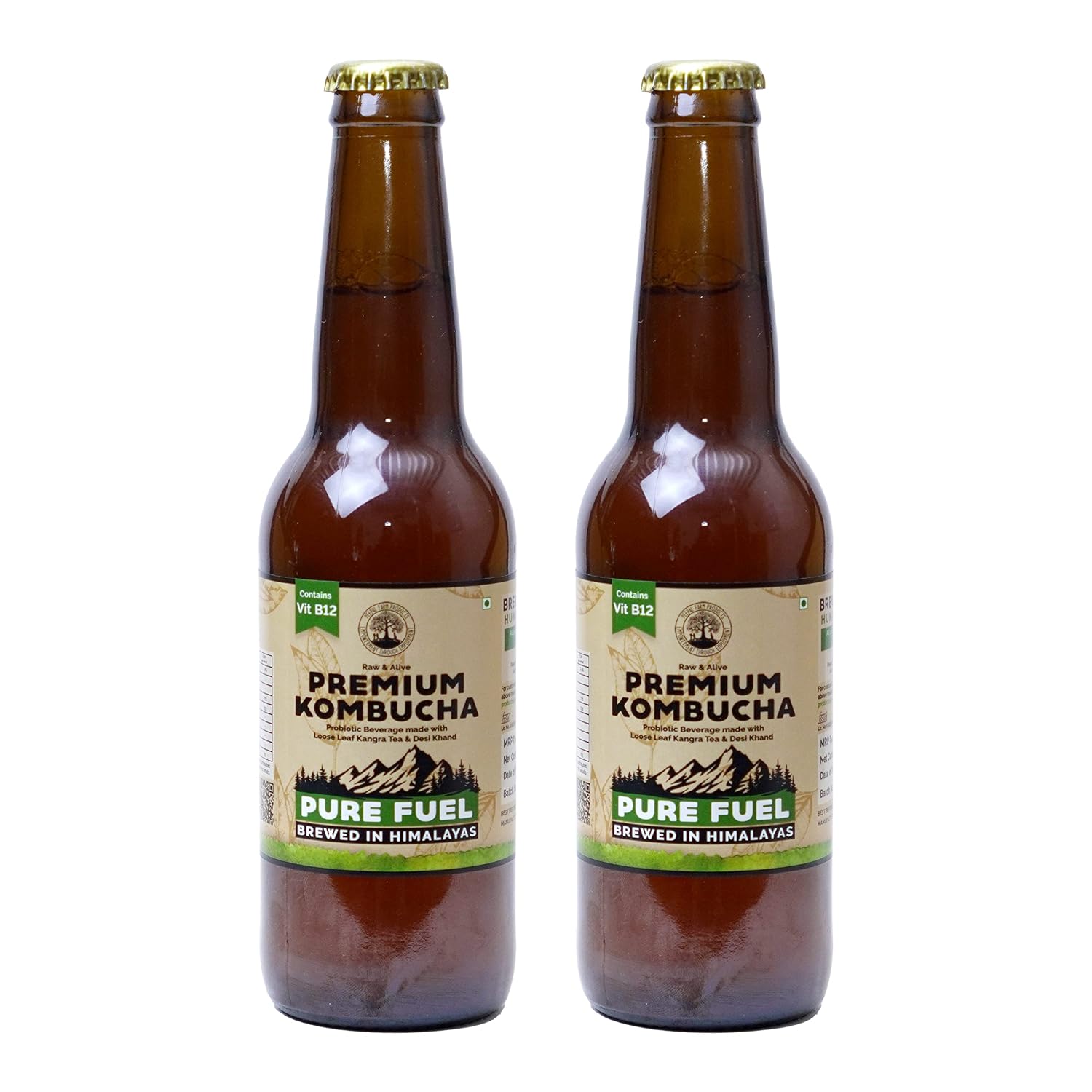 Peepal Farm Handcrafted Premium Kombucha | Pack of 2 (330ml Each ...
