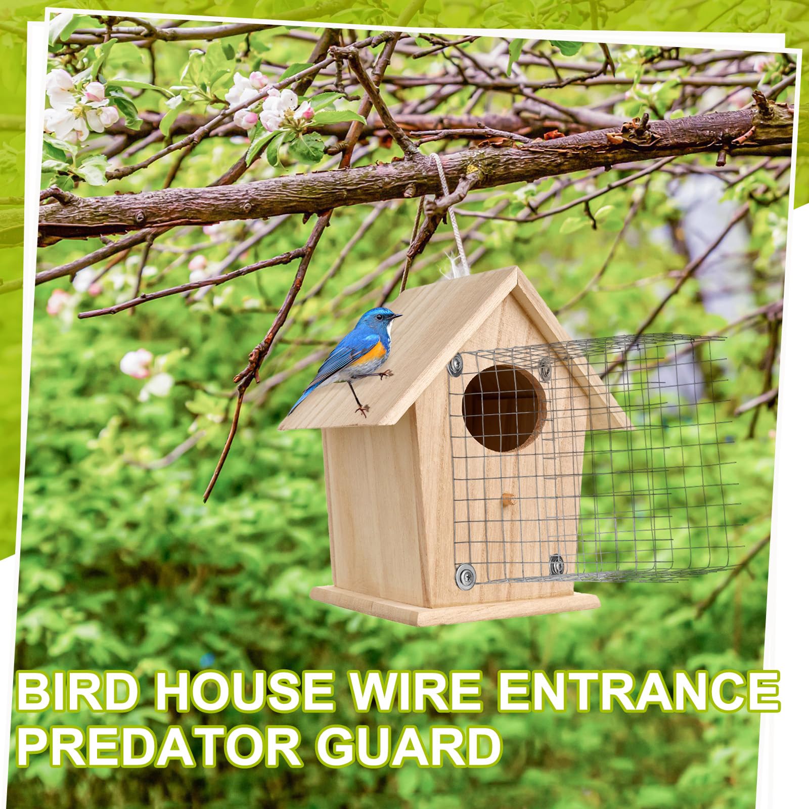 Bluebird House Hole Protector Three Designed Birdhouse Plans For