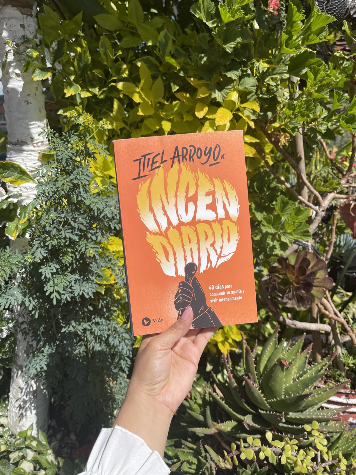 Incendiario: 40 Días Para Consumir Tu Apatía Y Vivir Intensamente ...